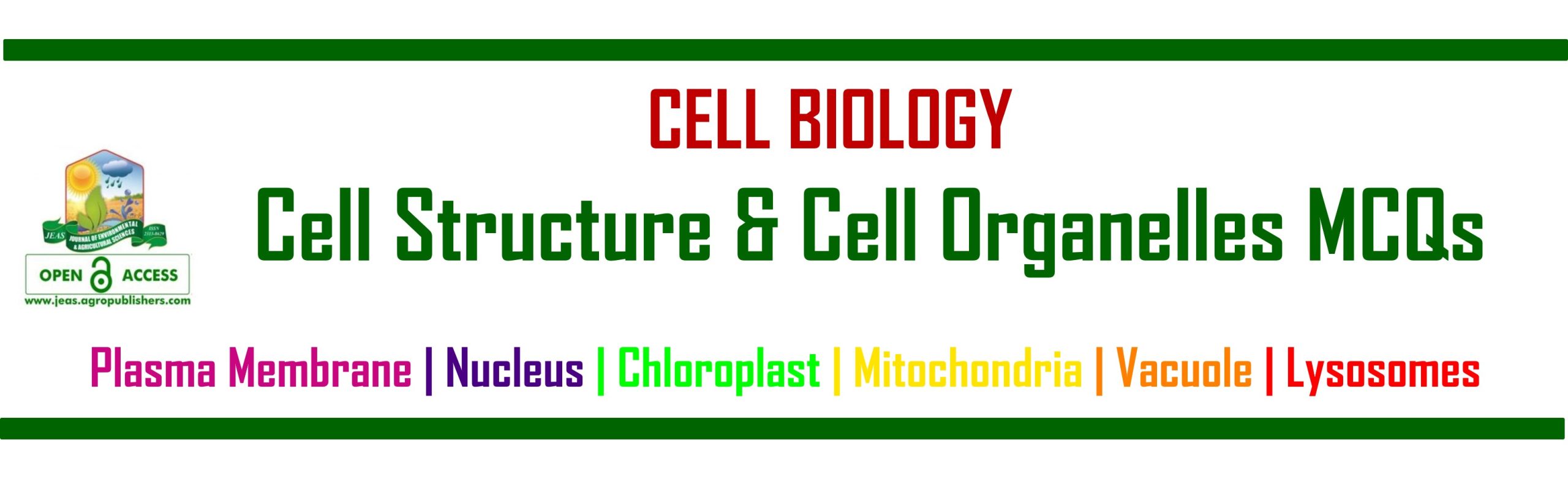 Cell Structure and Cell Organelles MCQs