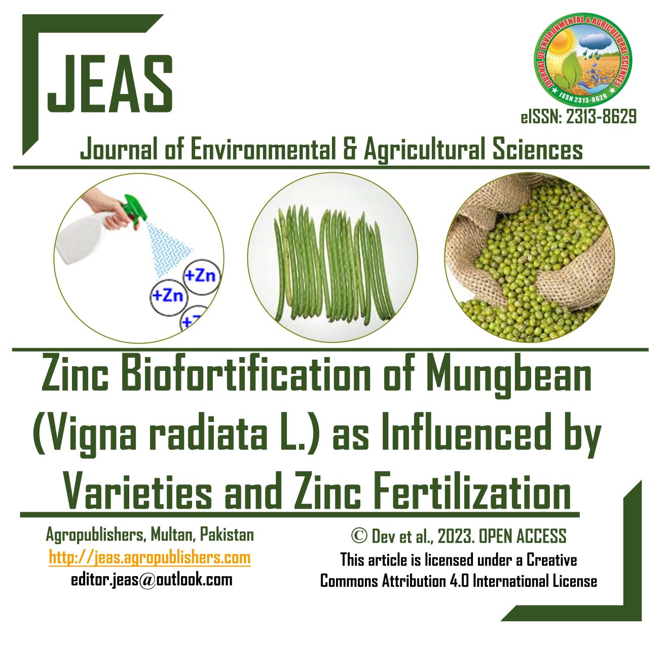 Zinc Biofortification of Mungbean (Vigna radiata l.) as Influenced by ...